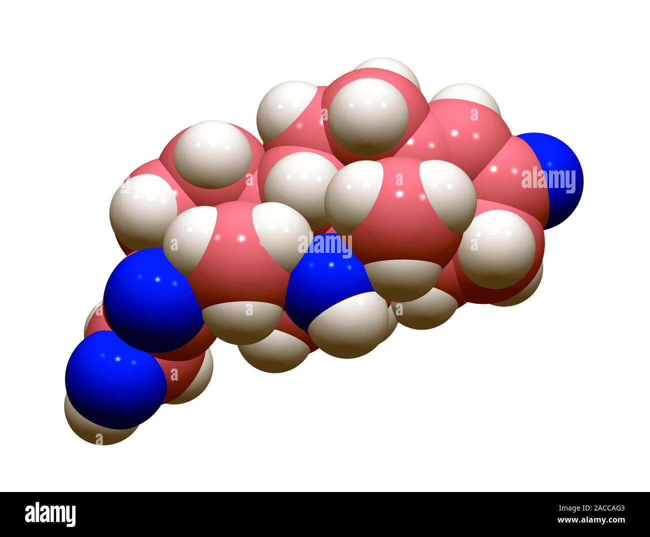 Corticosterone hormone molecule, computer model. Atoms are represented ...