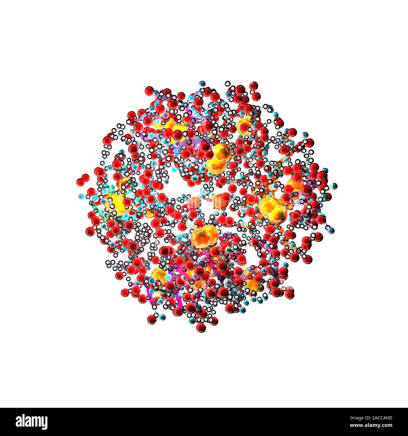 Insulin molecule, computer artwork. Insulin is a hormone produced by ...