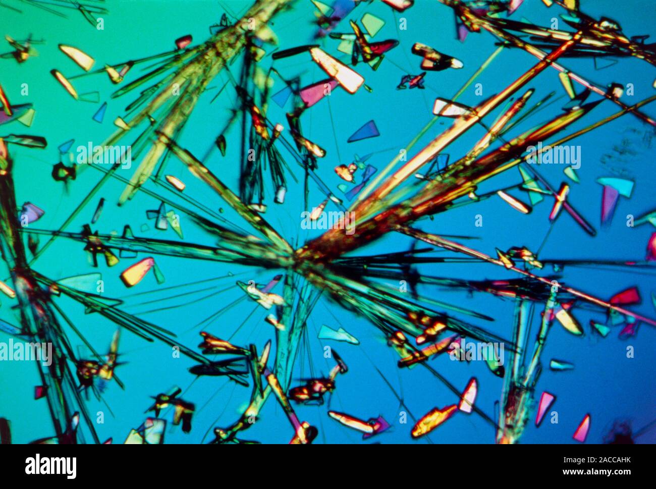Ampicillin. Polarised light micrograph of crystals of the antibiotic ...