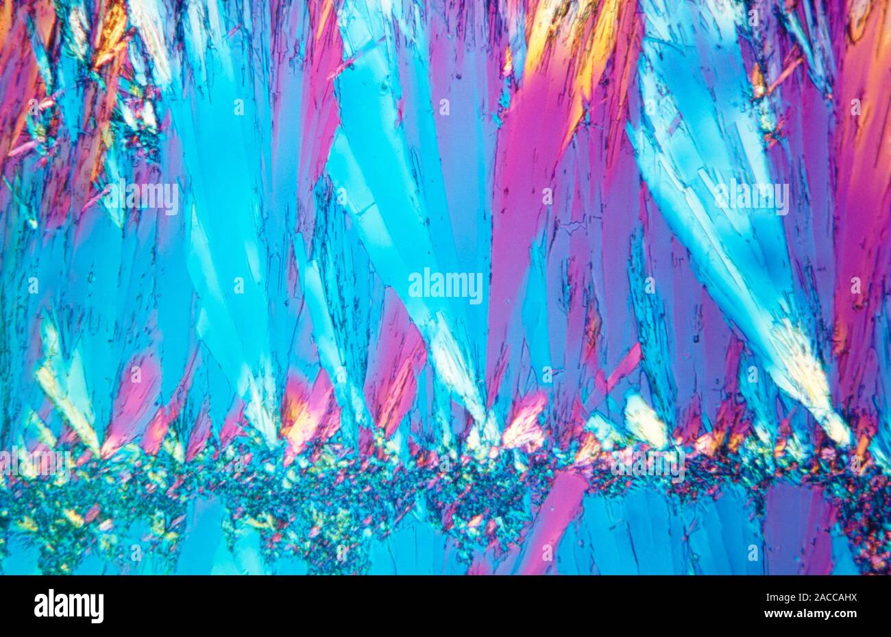 Polarised light micrograph of penicillin, potassium salt crystallized ...