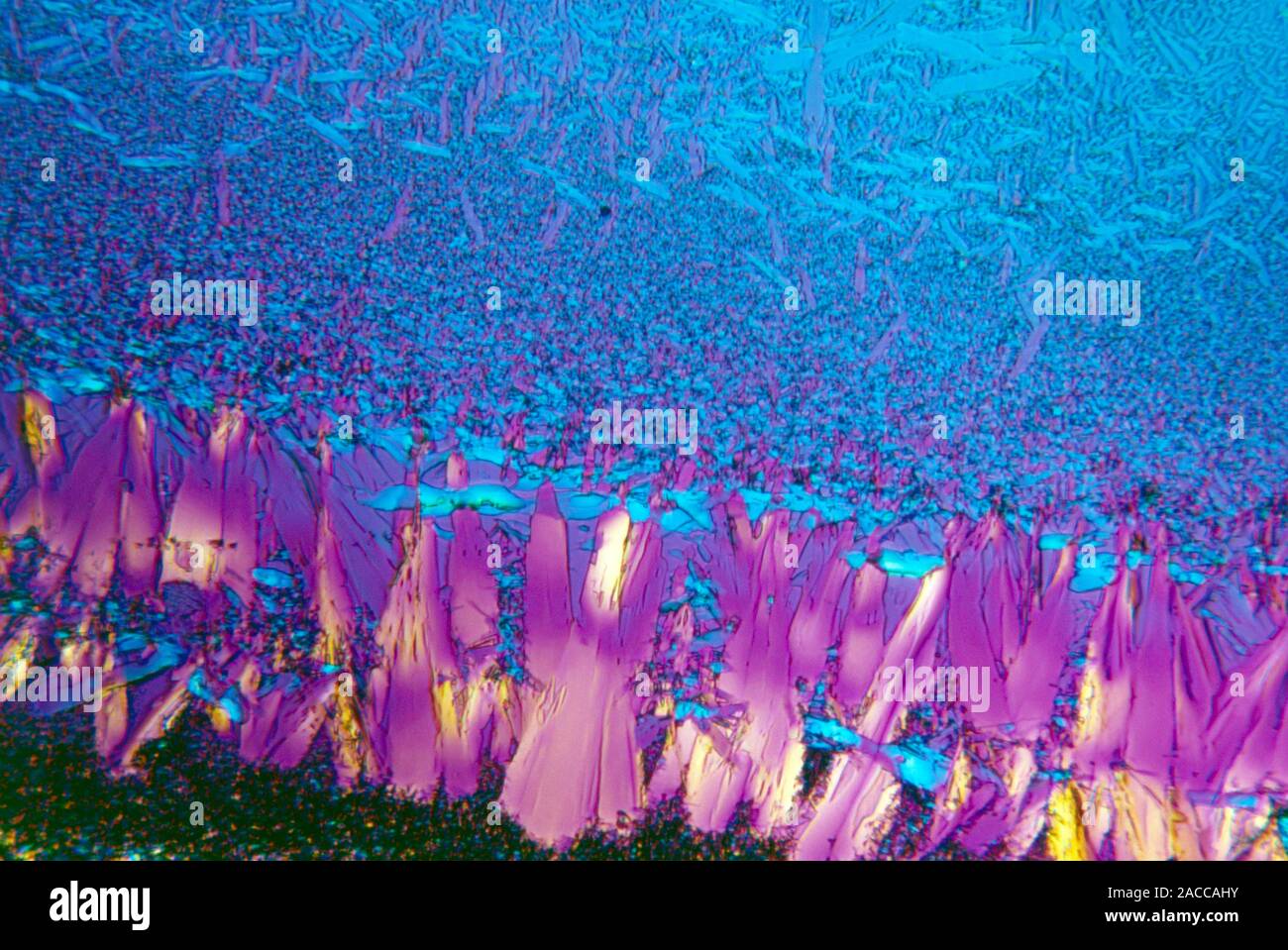 Polarised light micrograph of penicillin, potassium salt crystallized ...