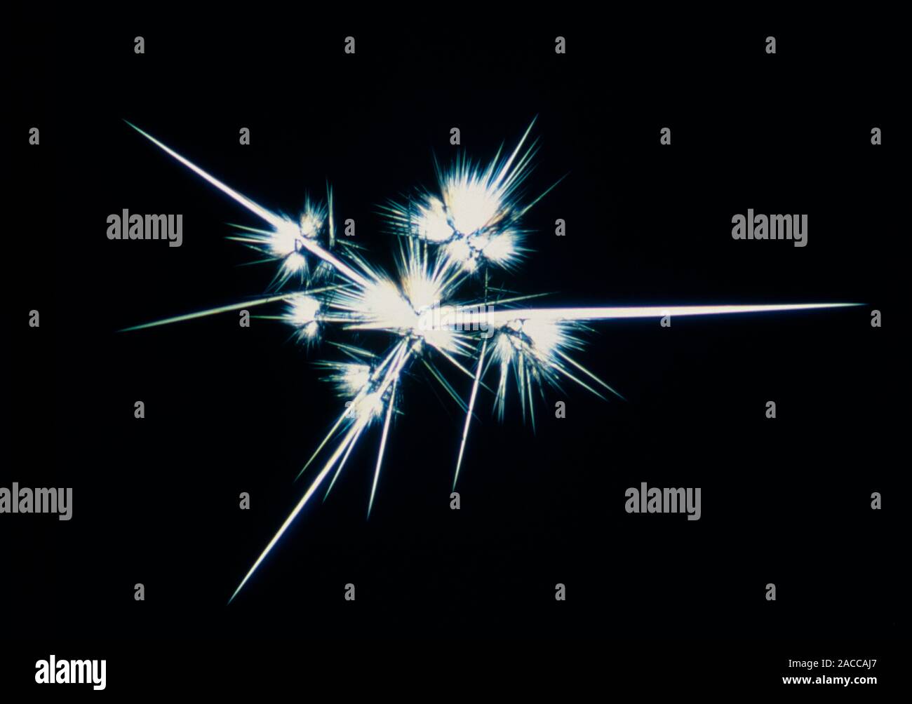 Streptomycin. Polarised light micrograph of crystals of the antibiotic ...