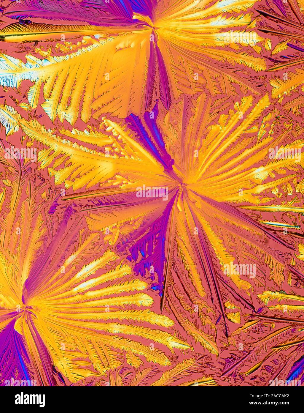 Magnesium citrate. Polarised light micrograph of crystals of the oral ...