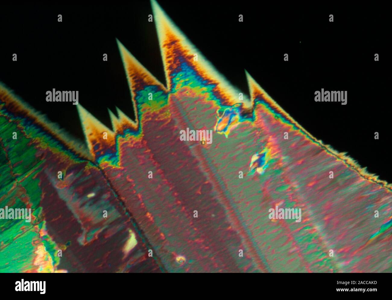 Crack. Polarised light micrograph of crystals of the drug crack cocaine ...