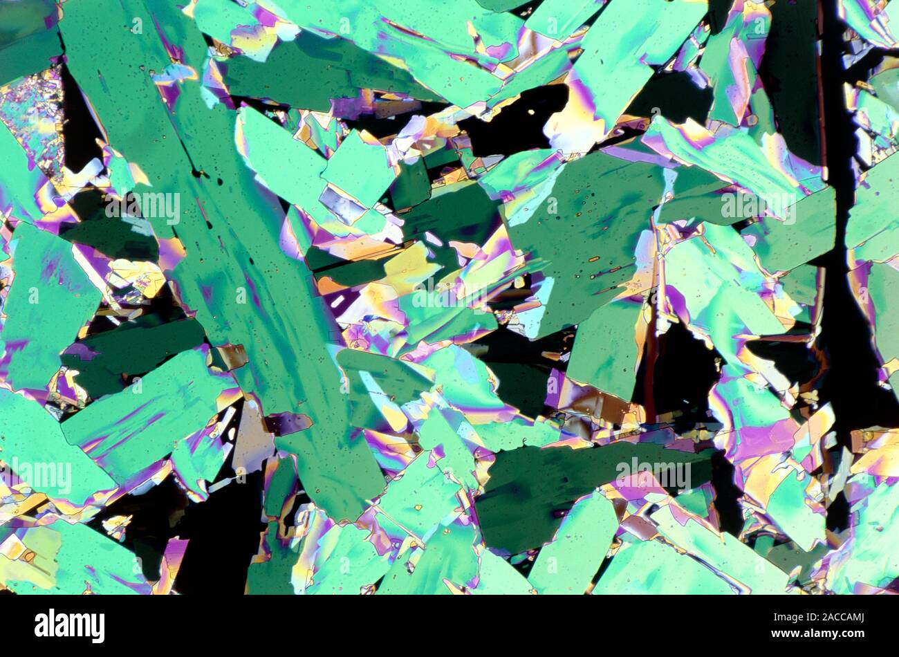 Tetracaine drug crystals. Polarised light micrograph of tetracaine ...