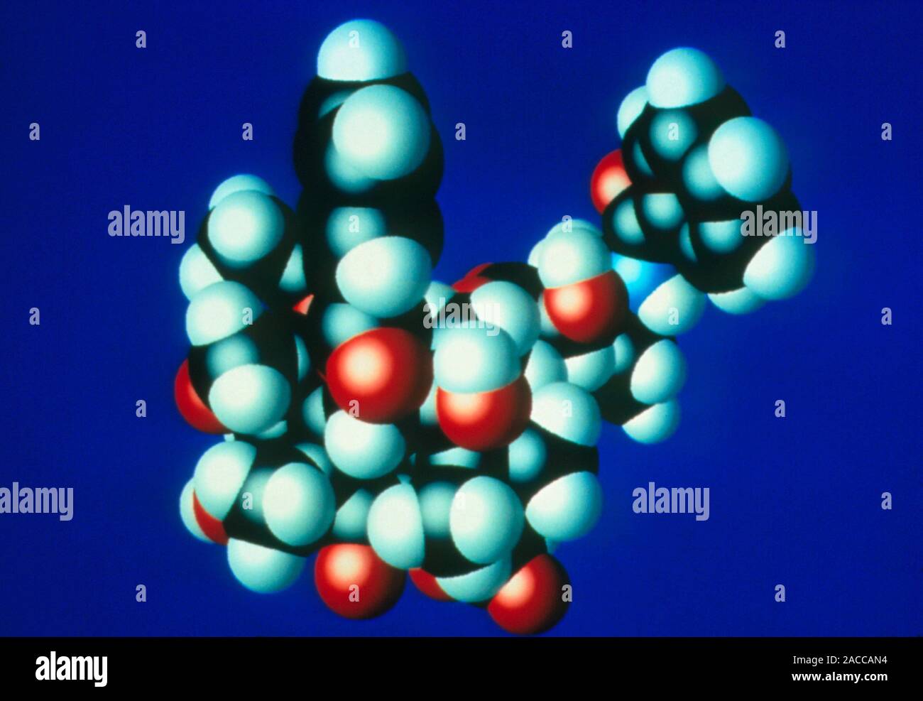 Taxol. Computer graphic of a molecule of taxol, a promising anti-cancer ...