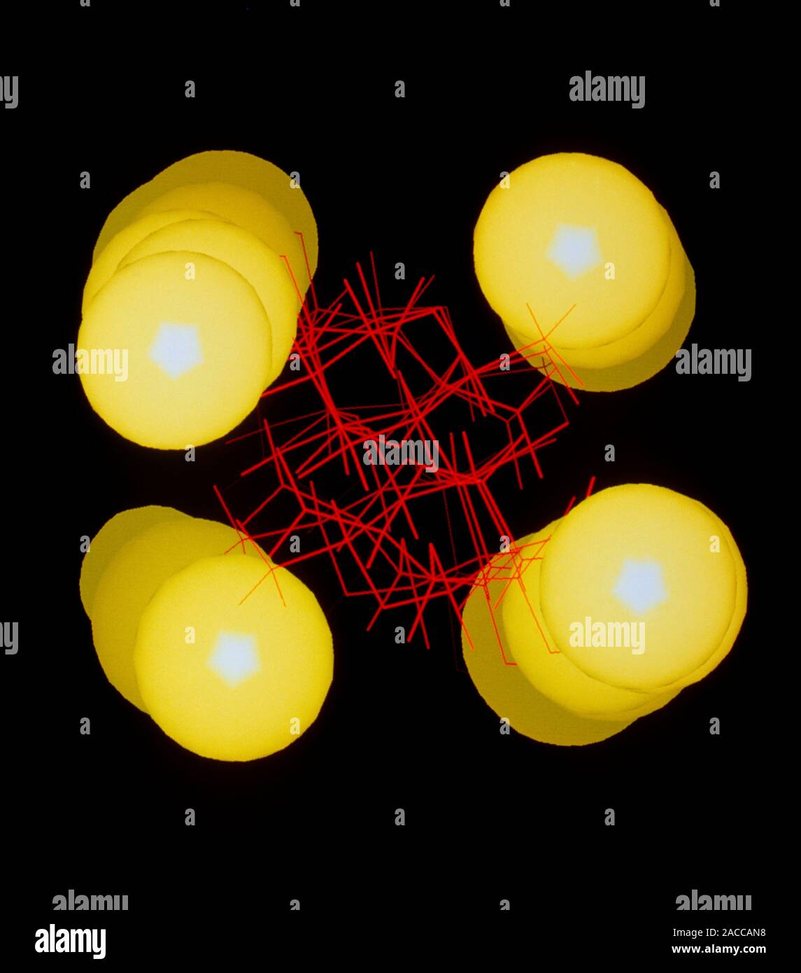 Heparin. Molecular graphic of heparin, an anticoagulant produced by the ...