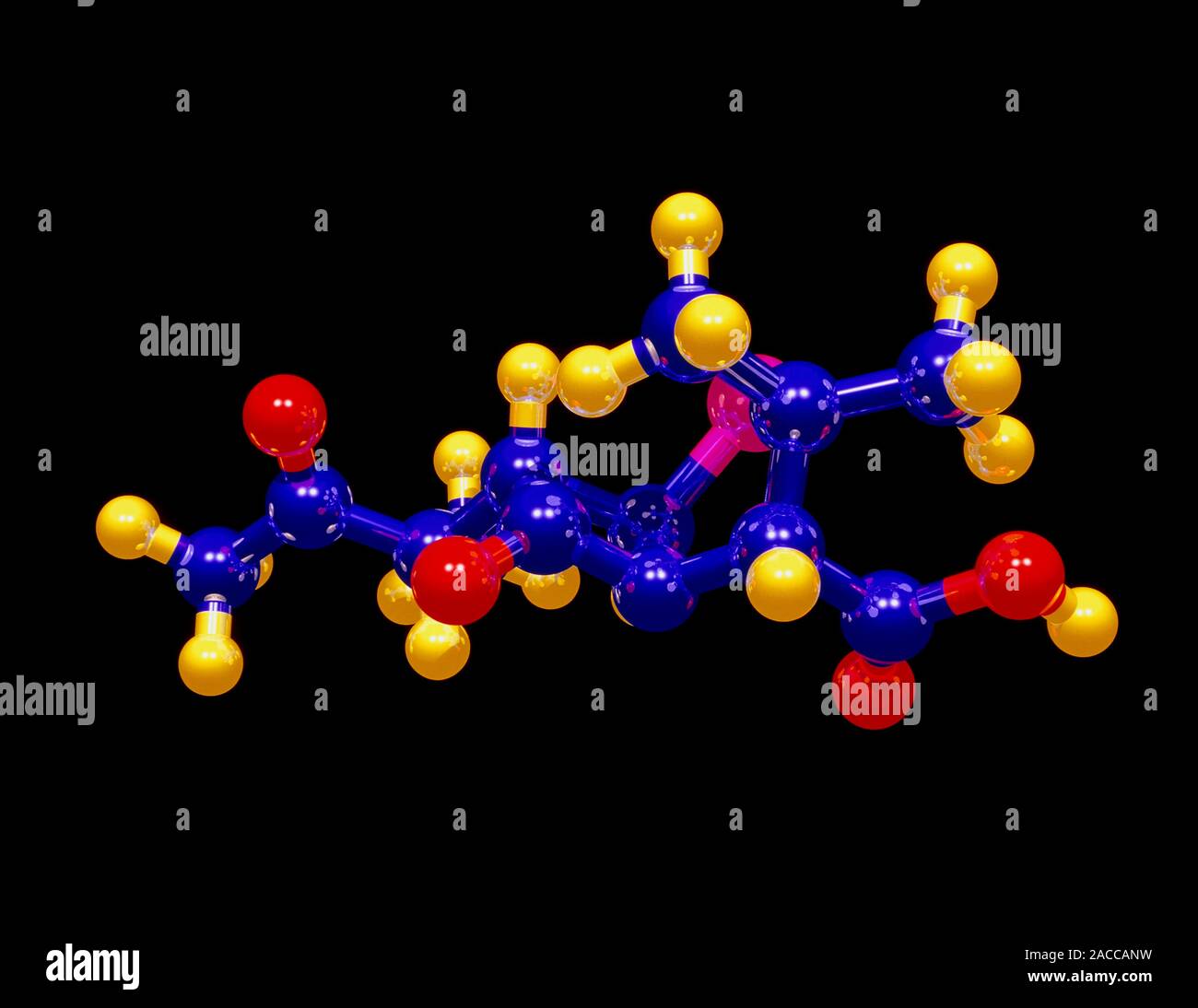 Penicillin. Computer graphic of a molecule of penicillin, an antibiotic ...