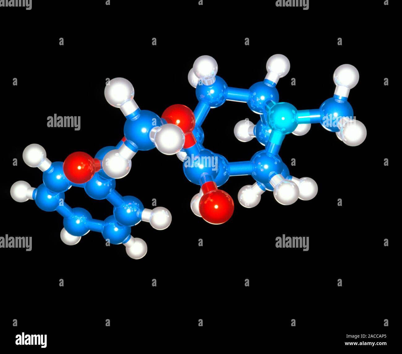 Cocaine. Molecular model of the drug cocaine (formula: C17H21NO4 ...