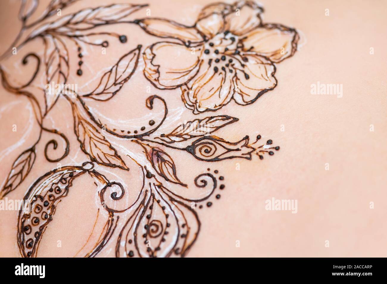 Drawing process of henna mehndi tattoo on womans back Stock Photo - Alamy