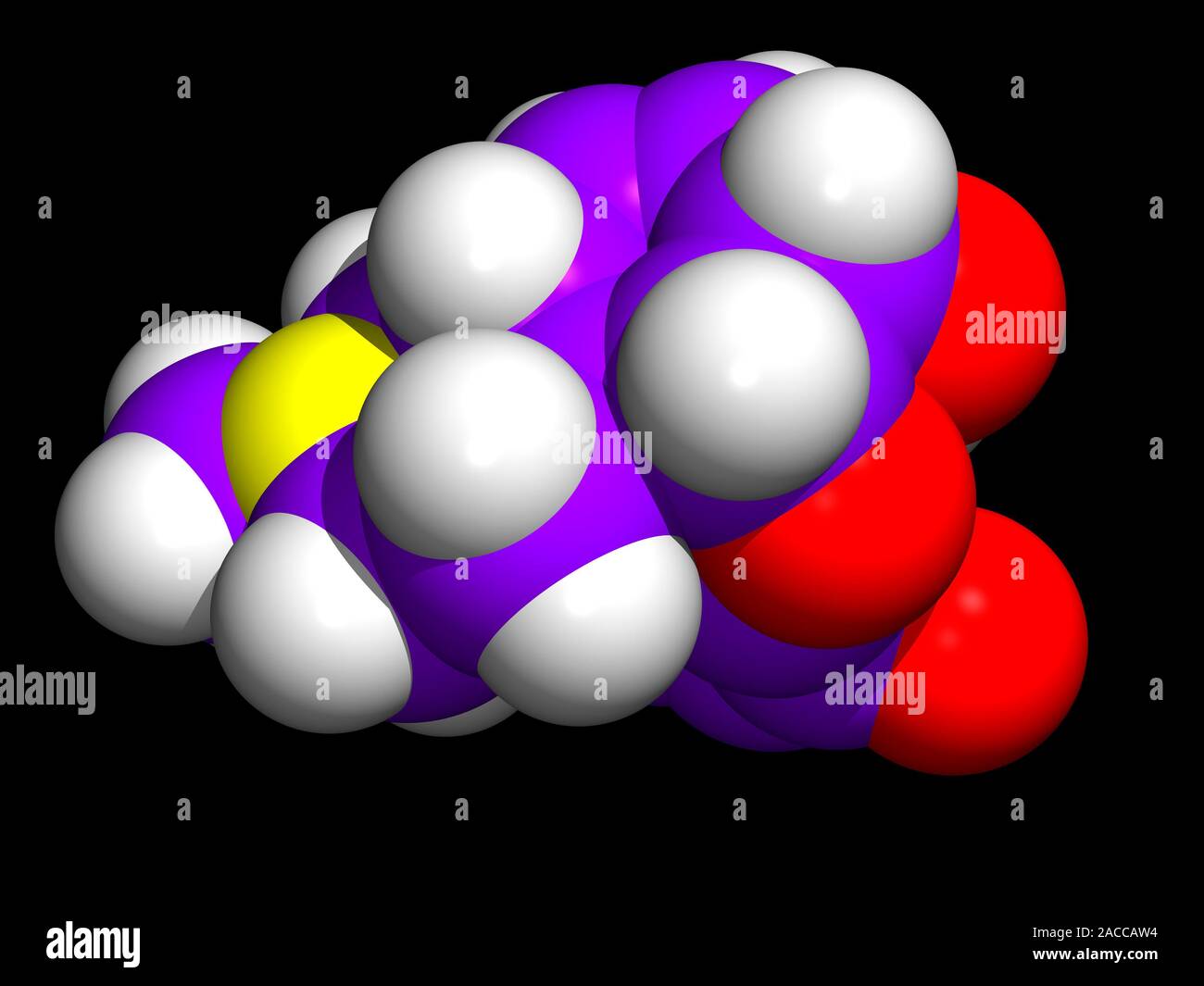 Morphine. Computer model of a molecule of morphine (C17.H19.N.O3). The ...