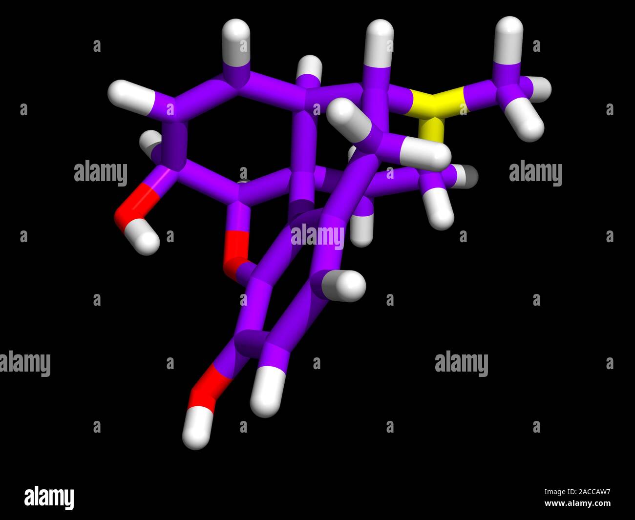 Morphine. Computer model of a molecule of morphine (C17.H19.N.O3). The ...