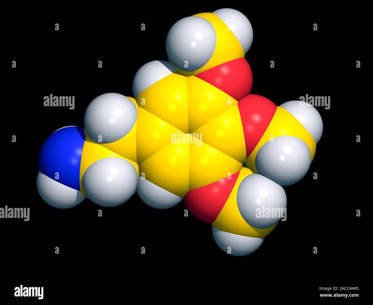 Mescaline molecule. Computer graphic of the drug mescaline (formula C11 ...