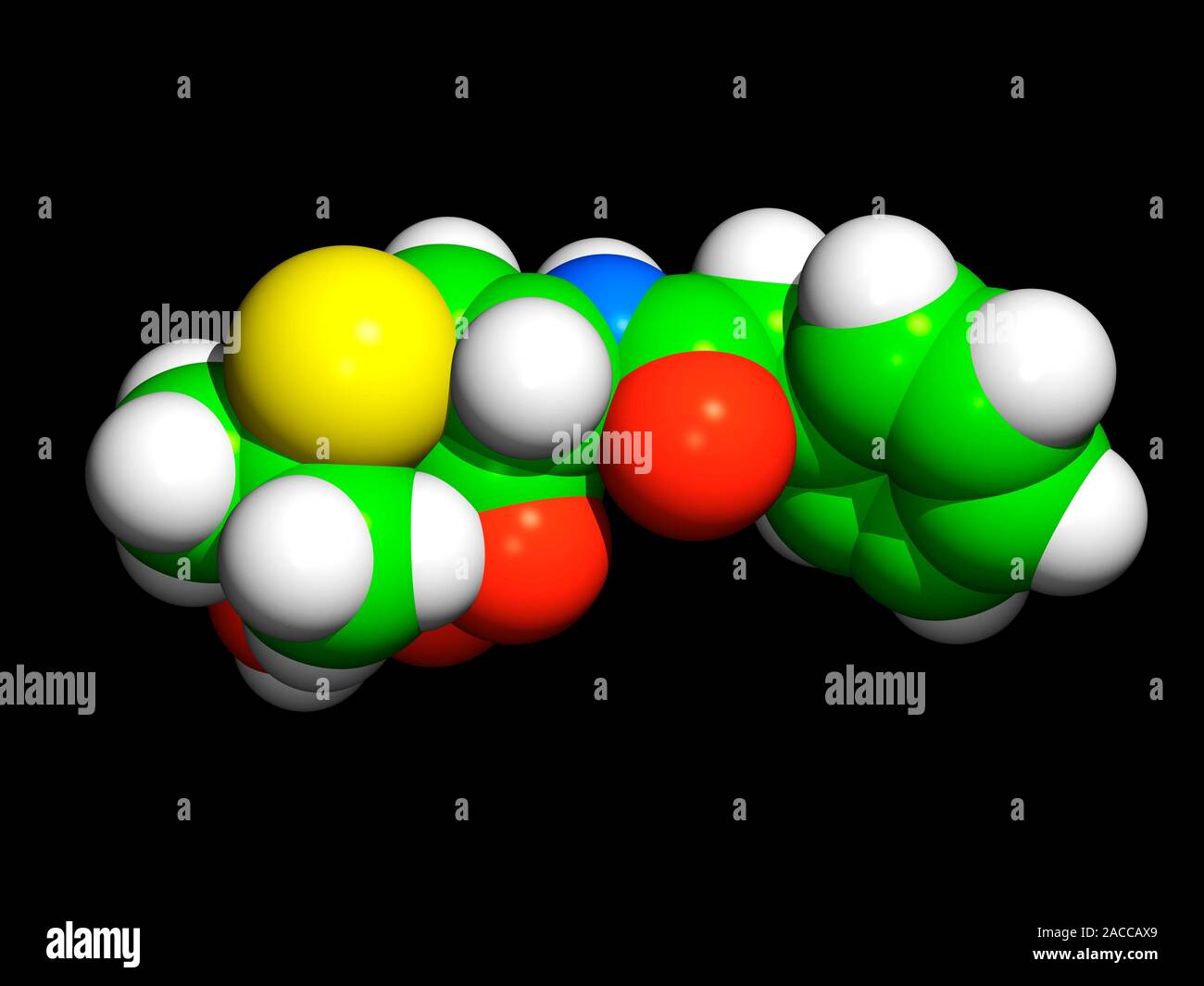 Penicillin G. Computer model of a molecule of the antibiotic drug ...