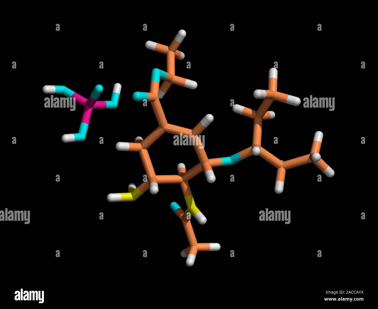 Tamiflu drug molecule, computer model. Tamiflu (oseltamivir phosphate ...
