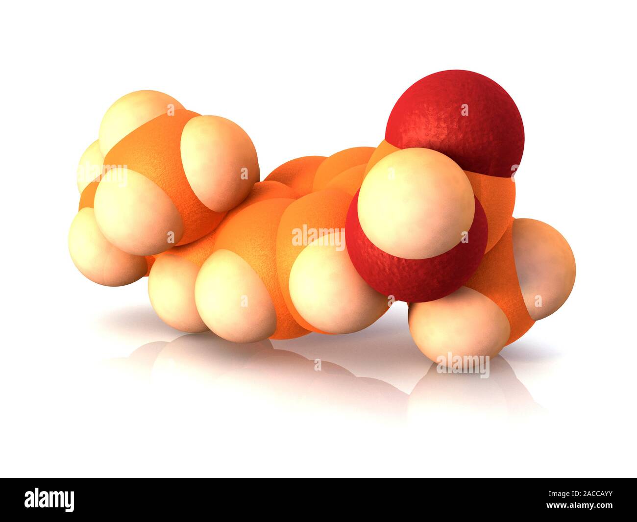 Ibuprofen. Computer artwork of the molecular structure of ibuprofen ...