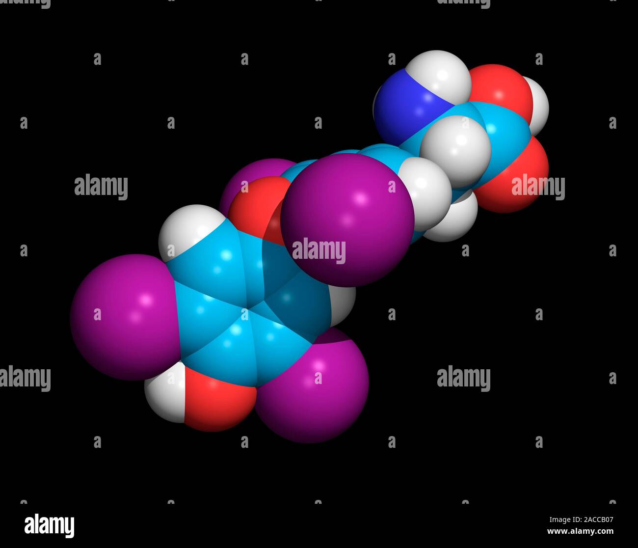 Synthetic thyroid hormone molecule. Computer model of a molecule of ...