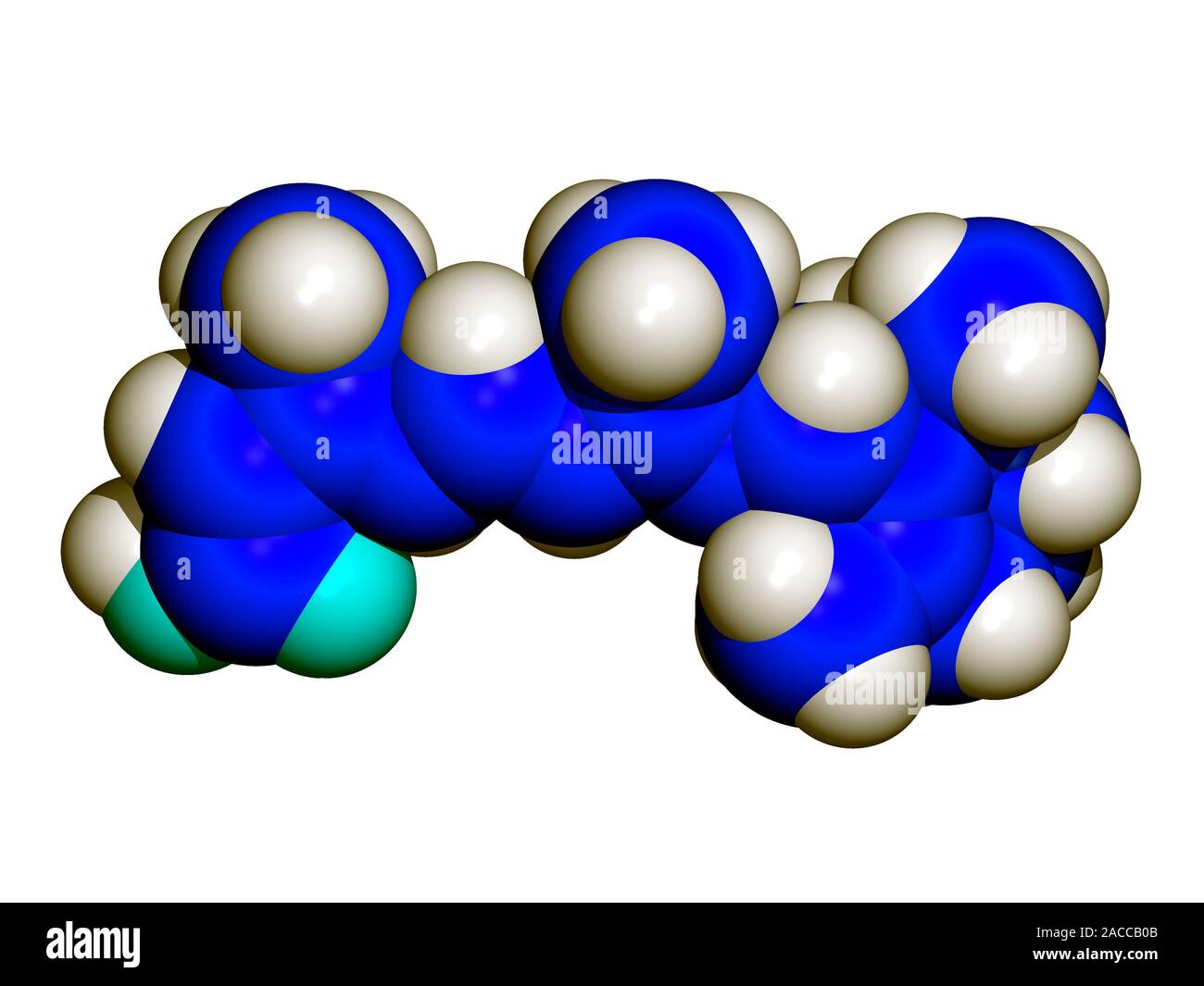 Isotretinoin anti-acne drug, molecular model. Atoms are represented as ...