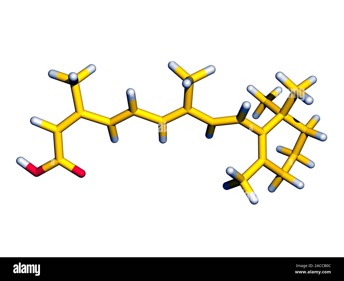 Isotretinoin anti-acne drug, molecular model. Atoms are represented as ...