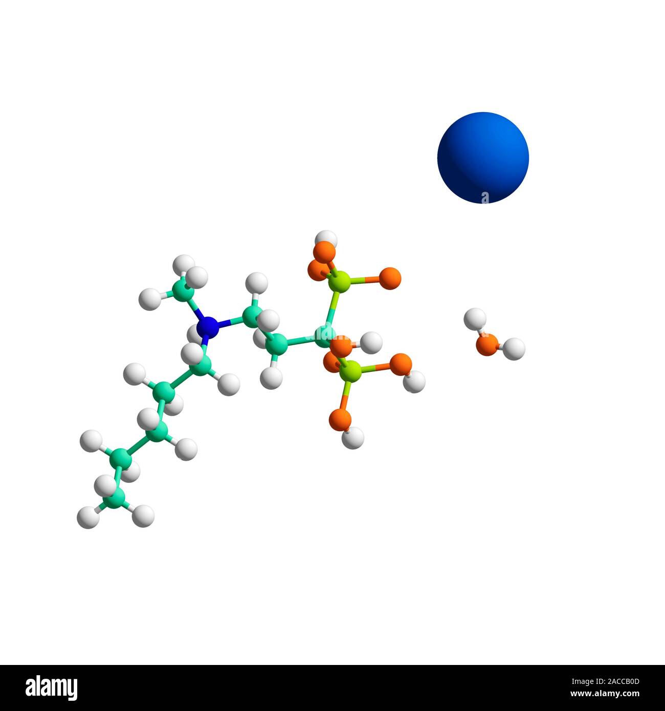 Boniva osteoporosis drug. Molecular model of boniva (ibandronate sodium ...