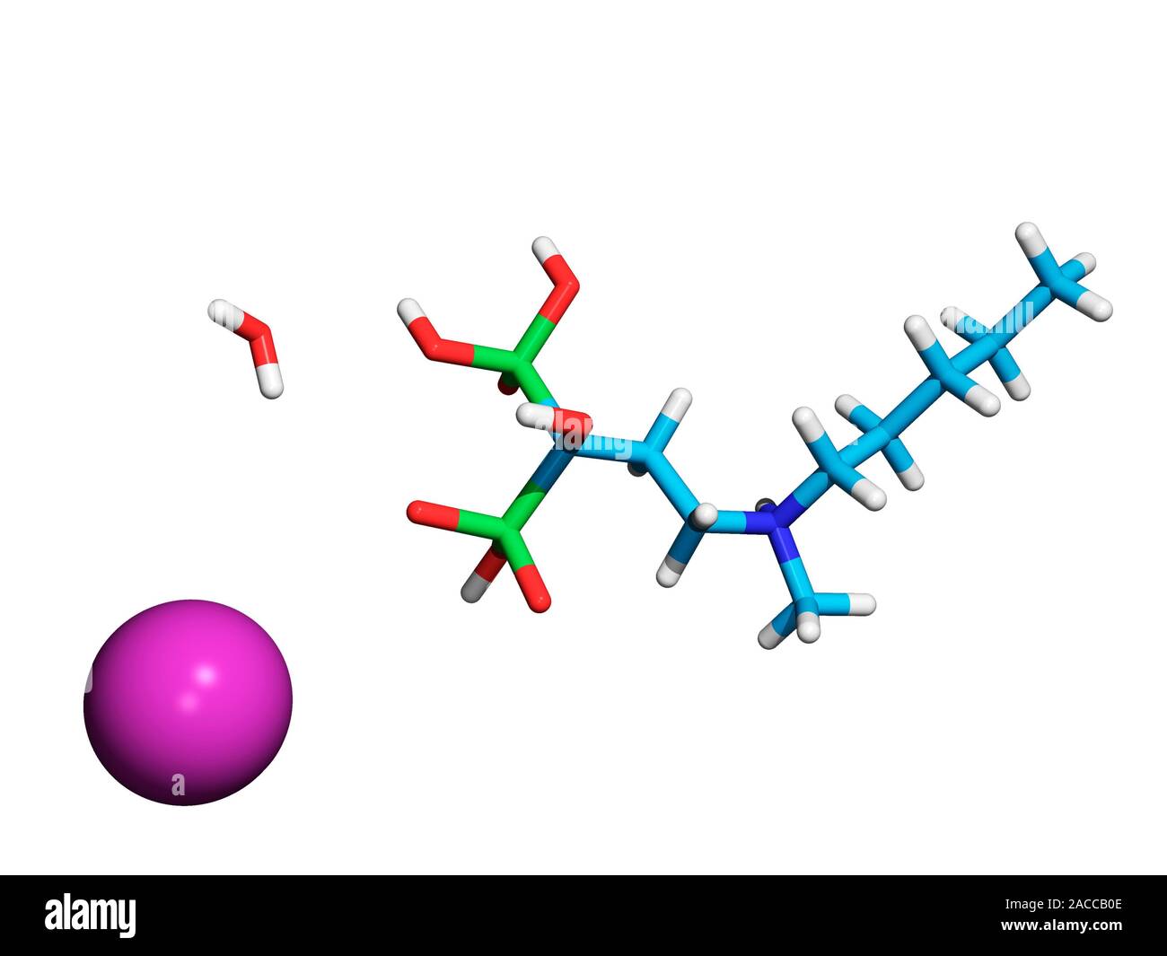 Boniva osteoporosis drug. Molecular model of boniva (ibandronate sodium ...