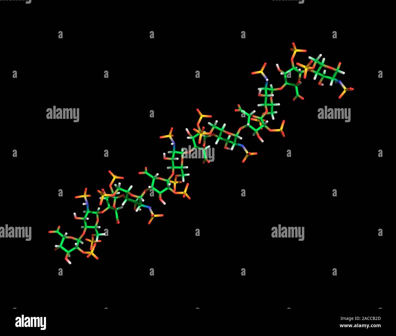 Anticoagulant molecule. Computer model of the anticoagulant heparin ...