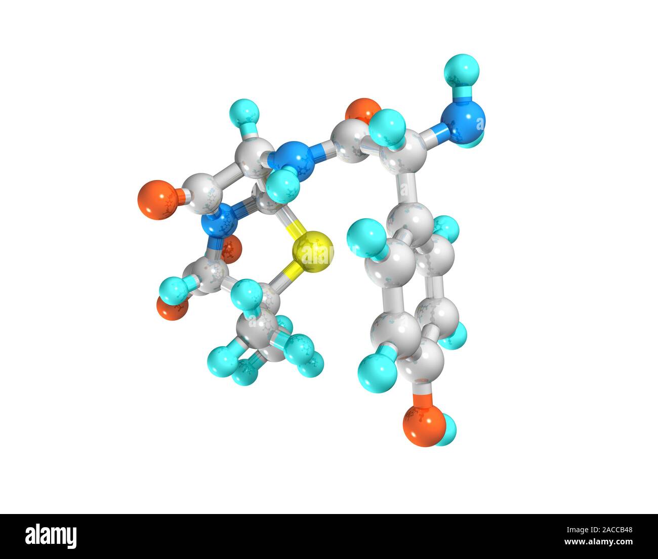 Amoxicillin. Computer model of a molecule of the drug amoxicillin. It ...
