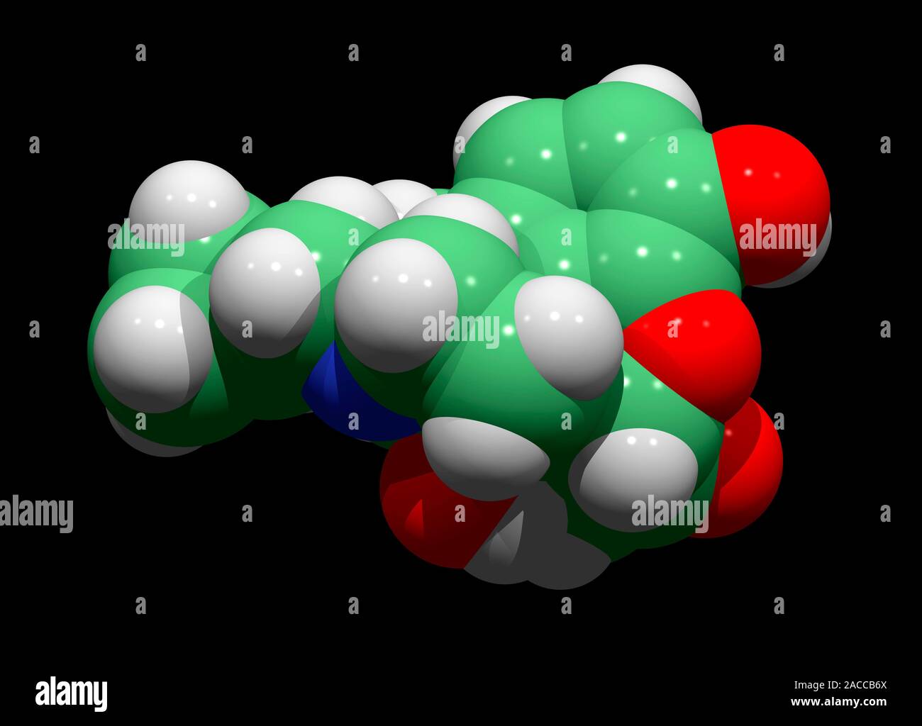 Naltrexone drug, molecular model. This drug, marketed as Revia, blocks ...