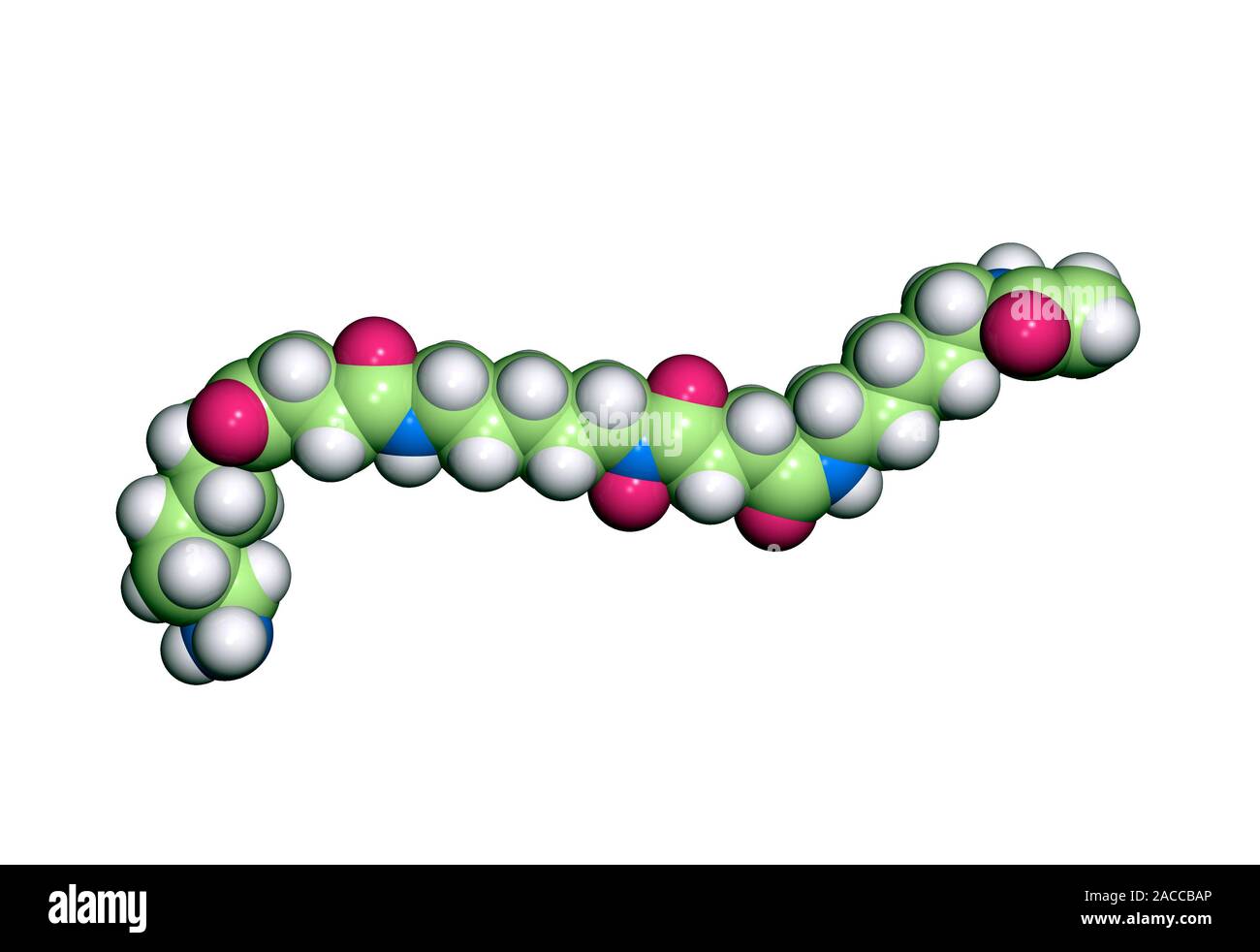 Desferrioxamine drug molecule, molecular model. This drug, also known ...