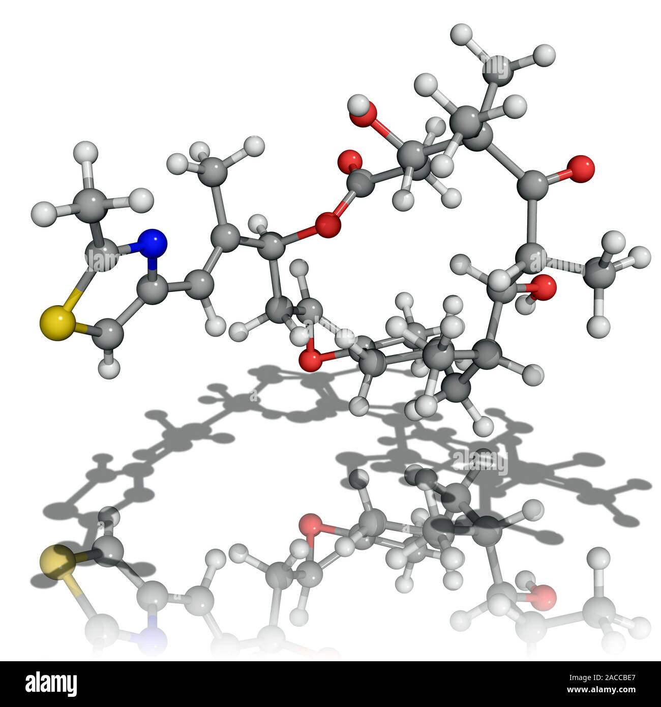 Epothione chemotherapy drug, molecular model. The epothiones are a ...