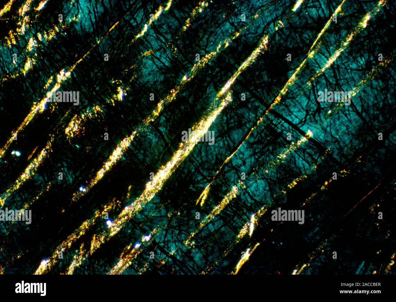 Polarised light micrograph of gold leaf. Magnification: x33 at 35mm ...