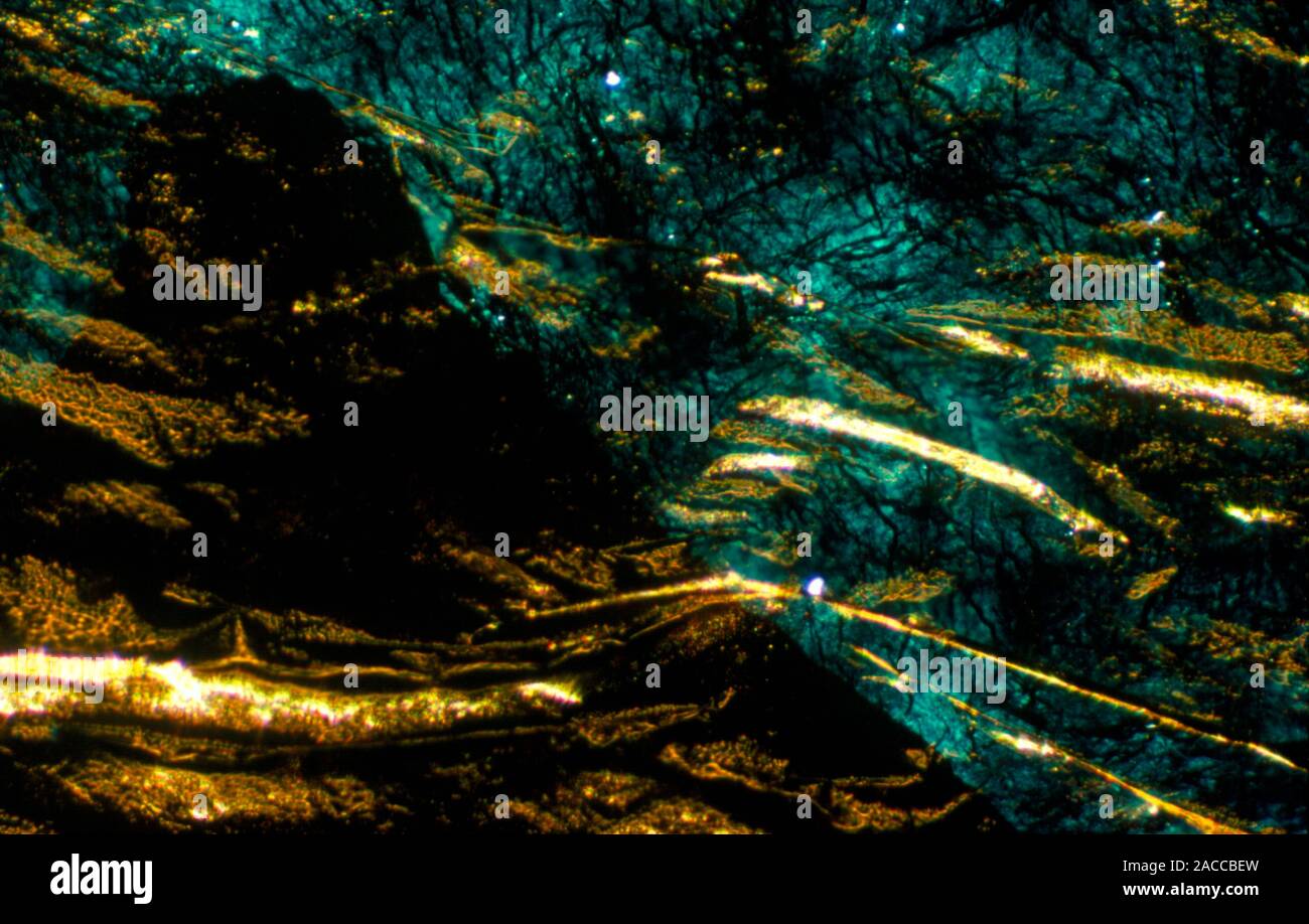 Polarised light micrograph of gold leaf. Magnification: 33 at 35mm size ...