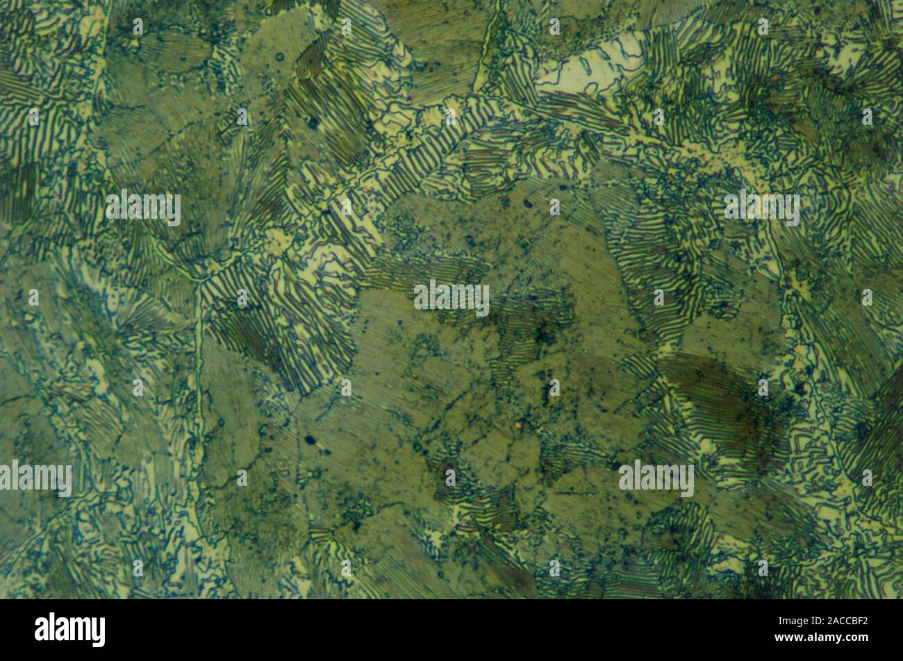 Unpolarised light micrograph of carbon mild steel, ordinary tube and ...