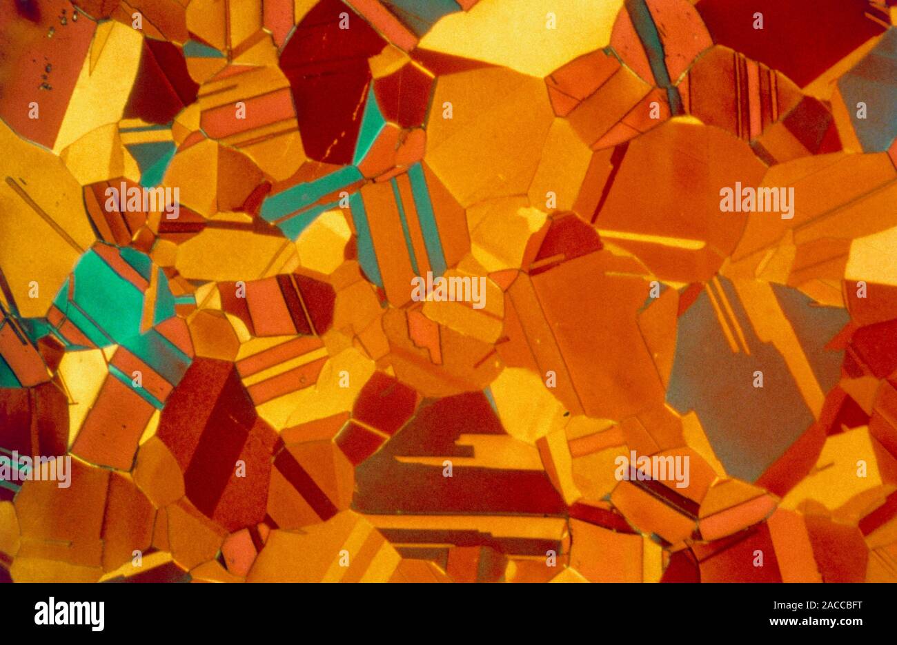 Polarised light micrograph of a thin section of common brass showing ...