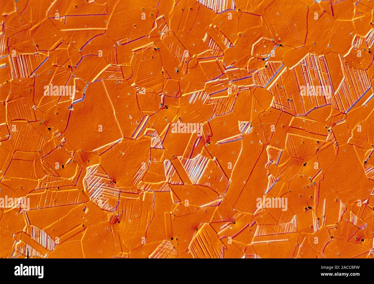 Light micrograph of a thin section of stainless steel of the rust-free ...