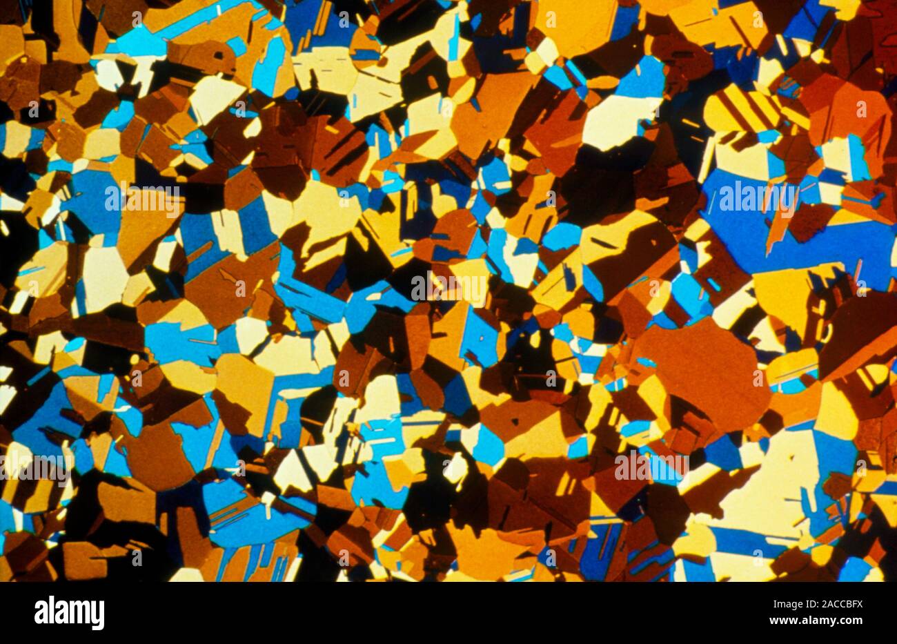 Polarised light micrograph of a thin section of pure copper. The ...