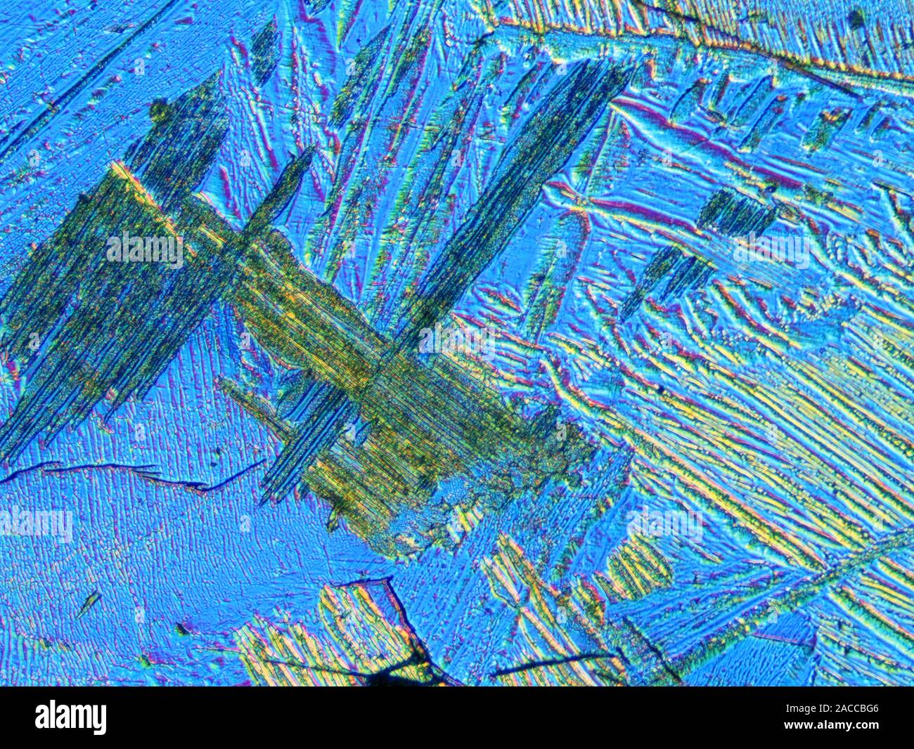 Light micrograph of a thin section of a titanium- aluminium alloy ...