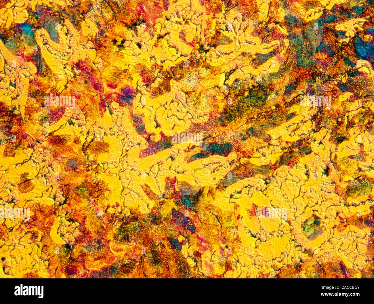 Light micrograph of a thin section of cast iron. Cast iron is a refined ...