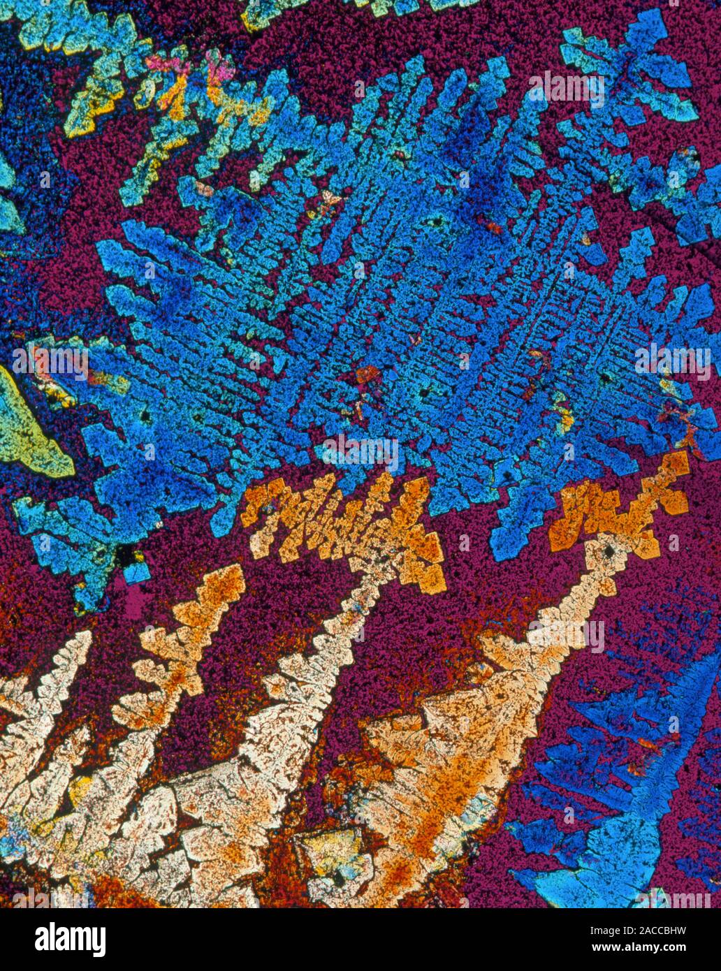 Polarised light micrograph of crystals of manganese sulphate (MnSO4 ...