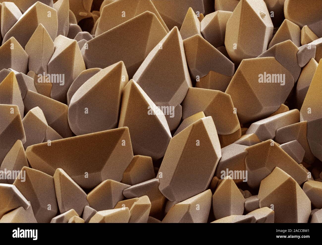 Tungsten crystals. Coloured scanning electron micrograph (SEM) of ...