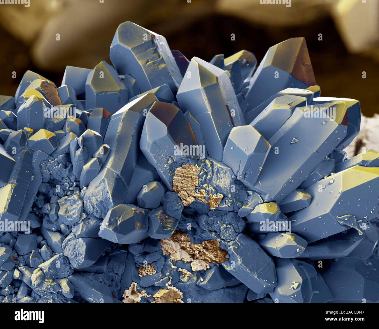 Quartz crystals, coloured scanning electron micrograph (SEM). Quartz is ...