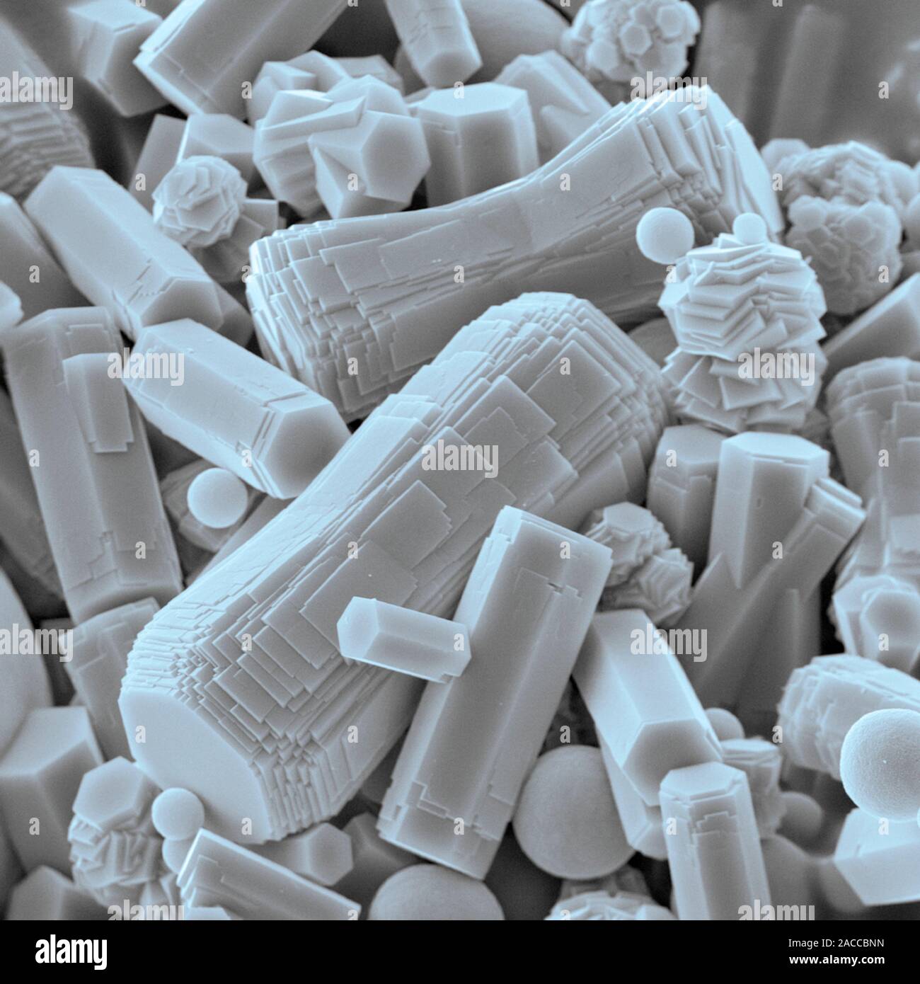 Fluorapatite crystals. Coloured scanning electron micrograph (SEM ...