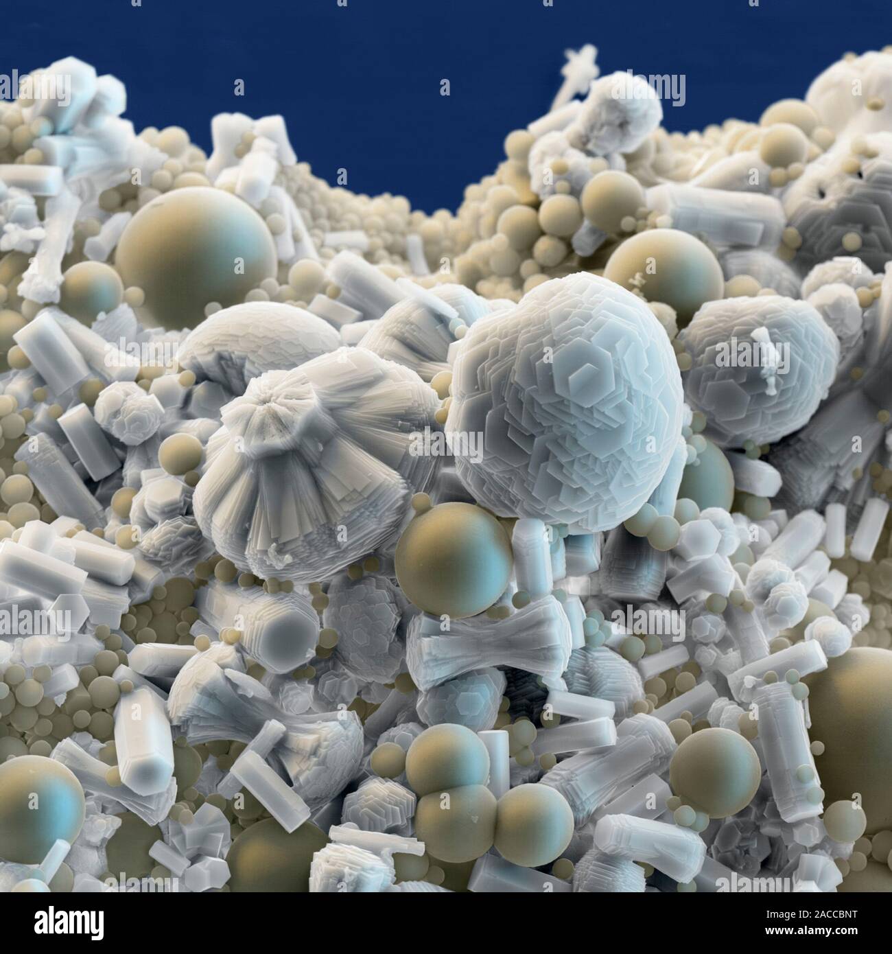 Fluorapatite crystals. Coloured scanning electron micrograph (SEM ...