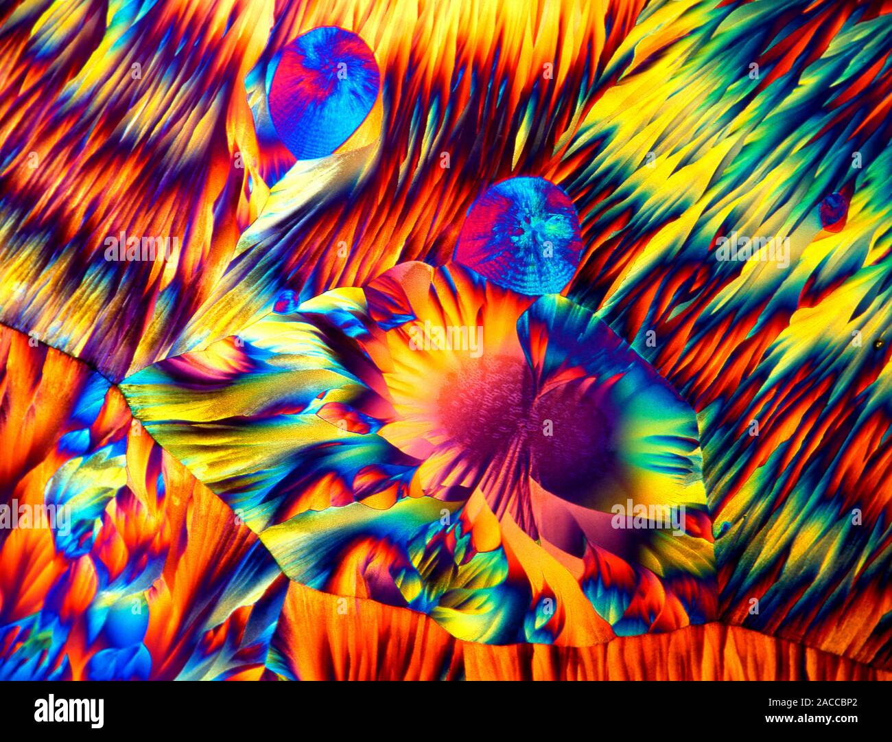 Copper and magnesium sulphate crystals. Polarised light micrograph (LM ...