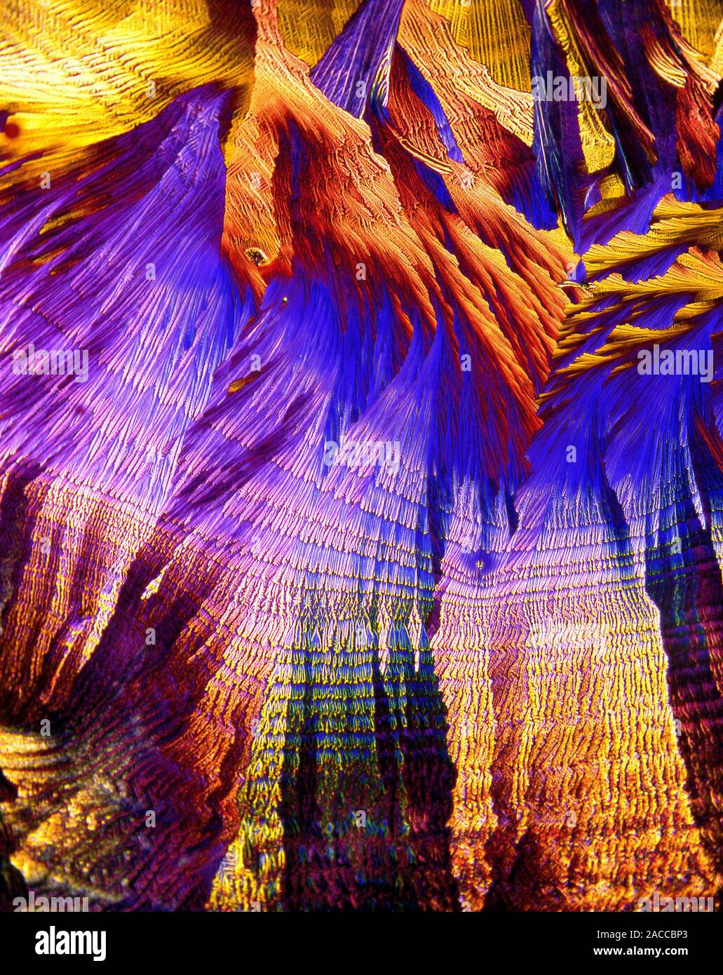 Magnesium chloride. Polarised light micrograph (LM) of crystals of ...