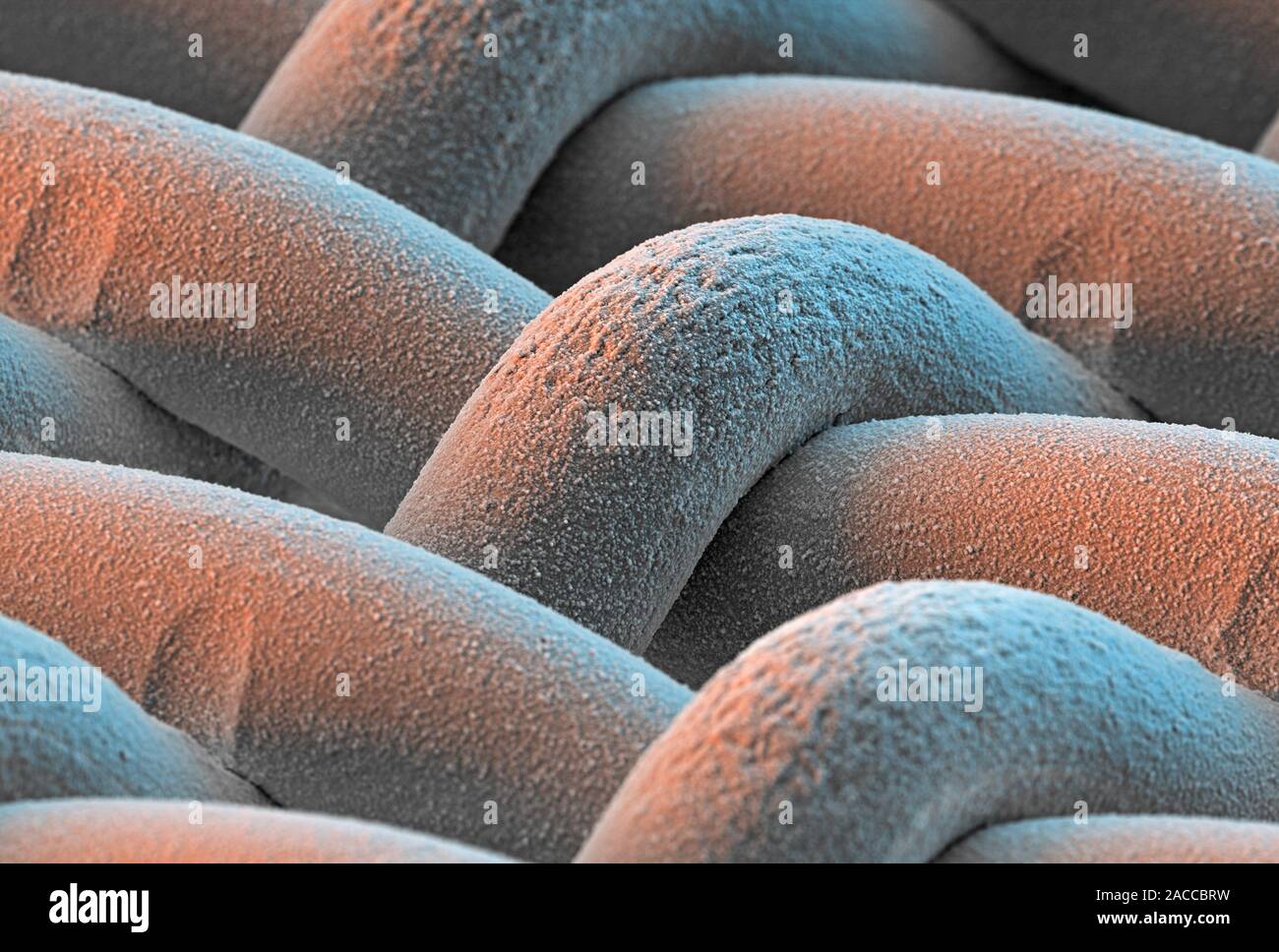 Zeolite catalyst on a tantalum wire mesh, coloured scanning electron ...