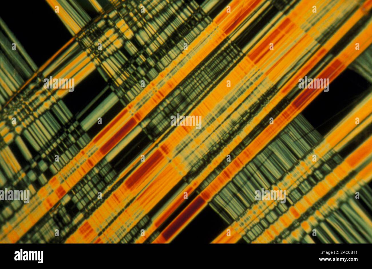 Polarised light micrograph of crossed fibre bundles of asbestos ...