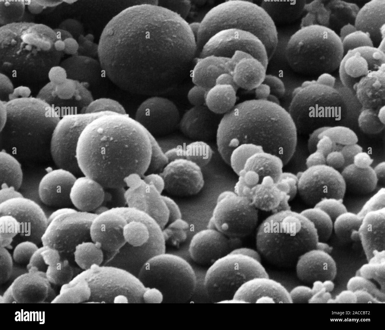 Scanning Electron Micrograph (SEM) of coal fly ash", collected from ...