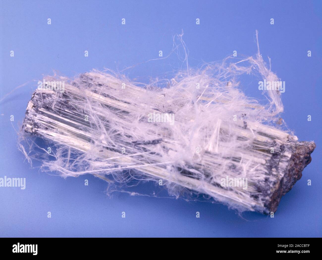 Specimen of asbestos, the name given to fibrous varieties of several ...