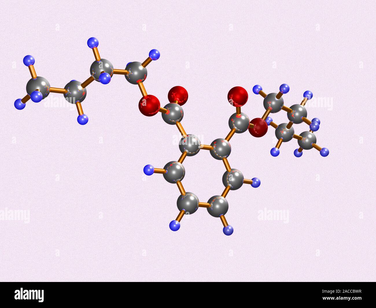 Di-n-butyl phthalate. Computer artwork of a molecule of di-n-butyl ...